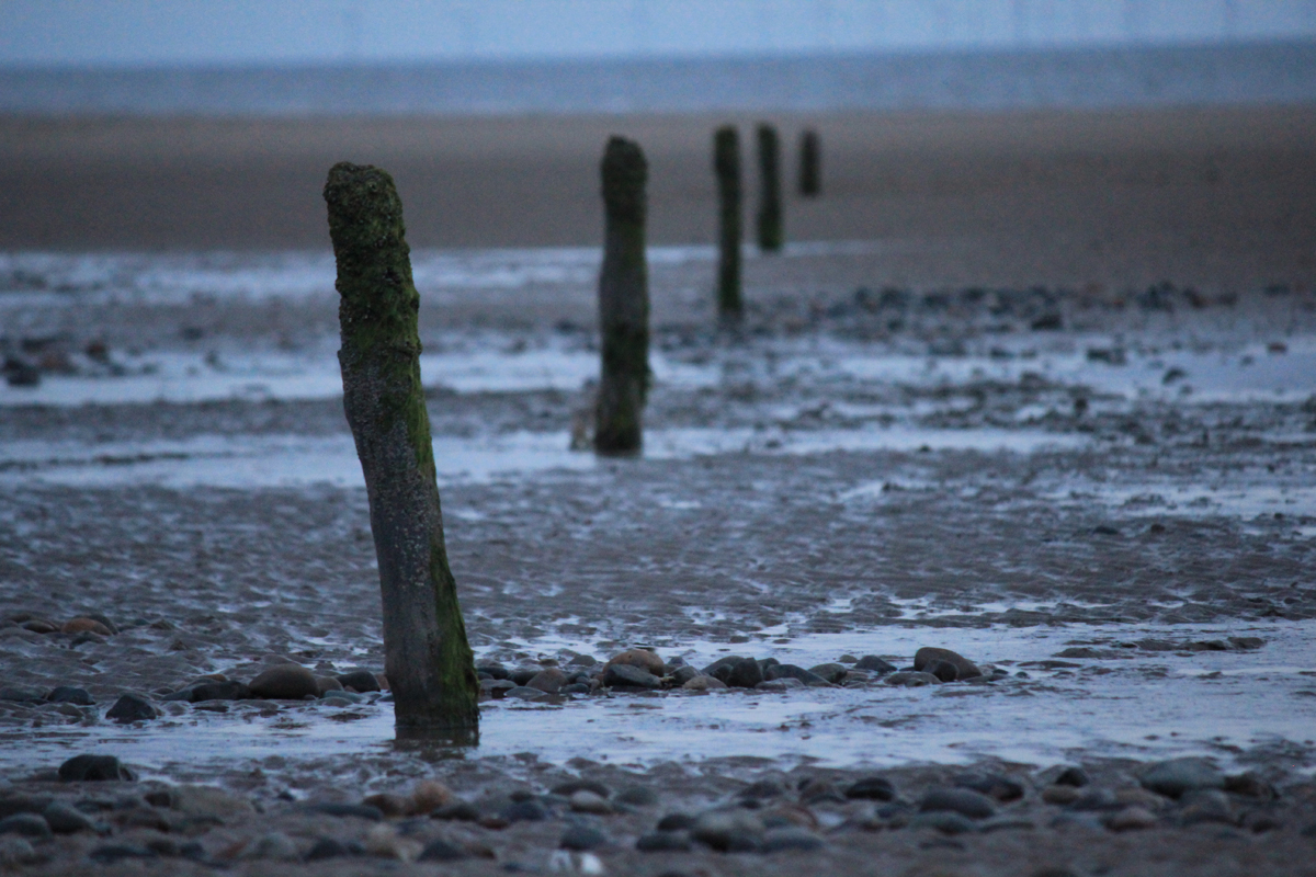 Darwin Escapes, Talacre Beach Holiday Park Review