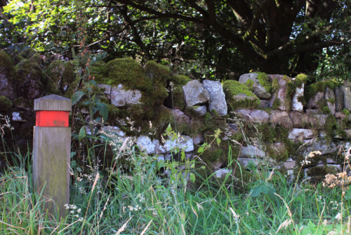 Macclesfield Forest Peak District Walk