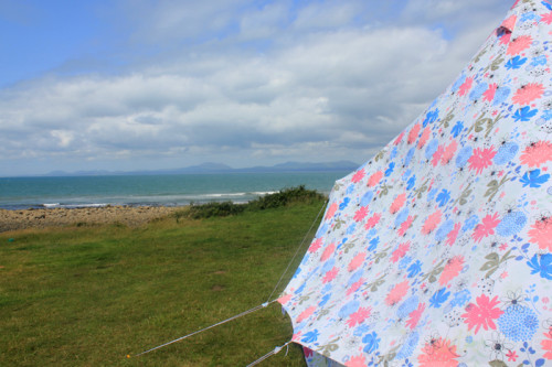 Shell Island Campsite Review