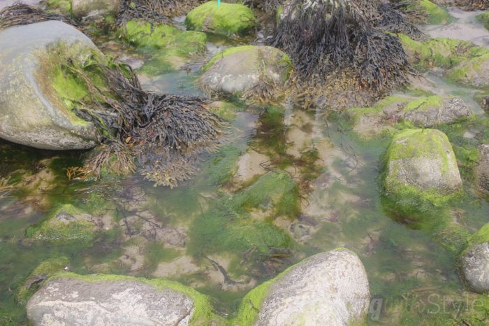 Shell Island Campsite Review