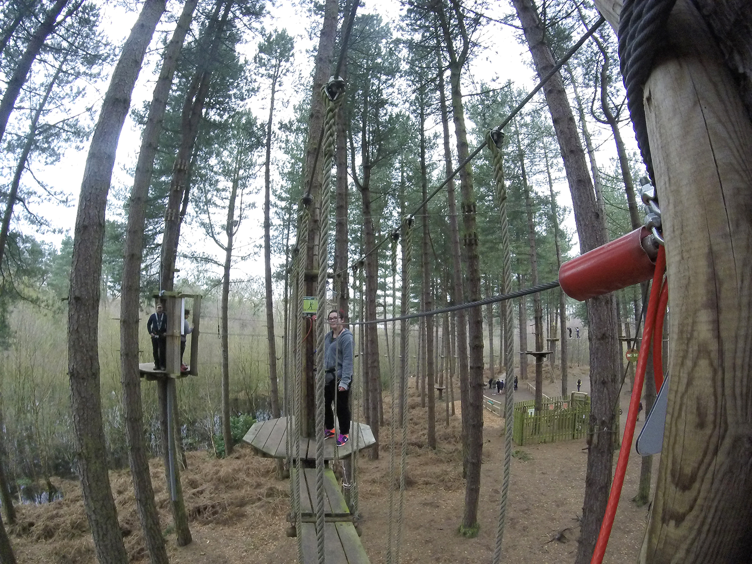 A Day of Adventure at Go Ape Delamere Forest, Cheshire