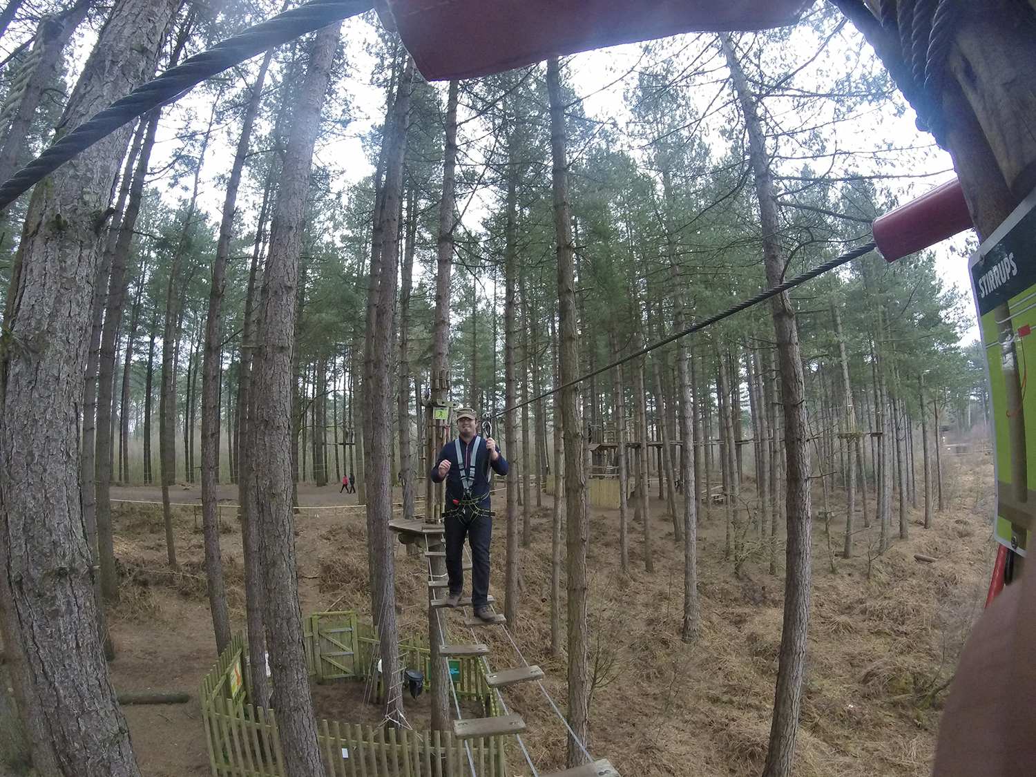A Day of Adventure at Go Ape Delamere Forest, Cheshire