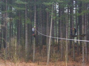 A Day of Adventure at Go Ape Delamere Forest, Cheshire
