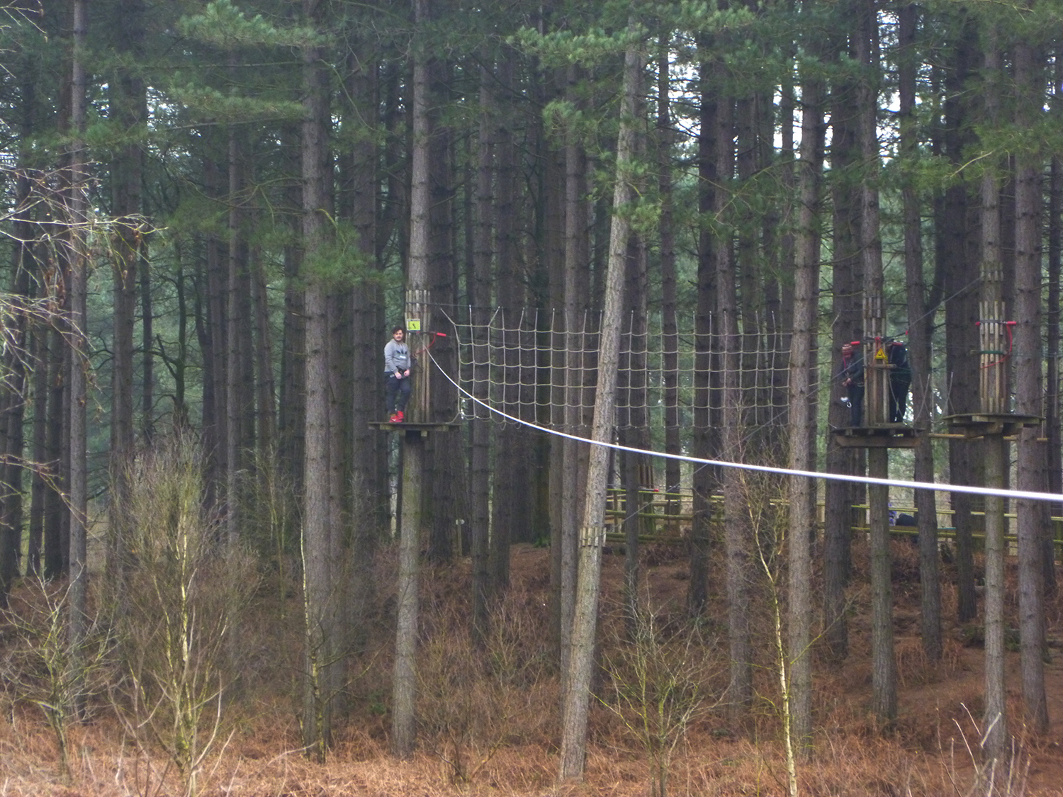 A Day of Adventure at Go Ape Delamere Forest, Cheshire