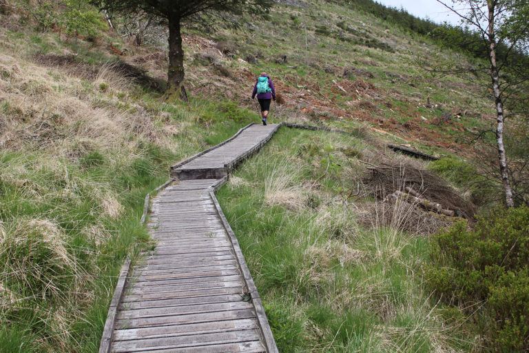 Waterfalls and Walking The Wye Valley Way, Hafren Forest in Wales