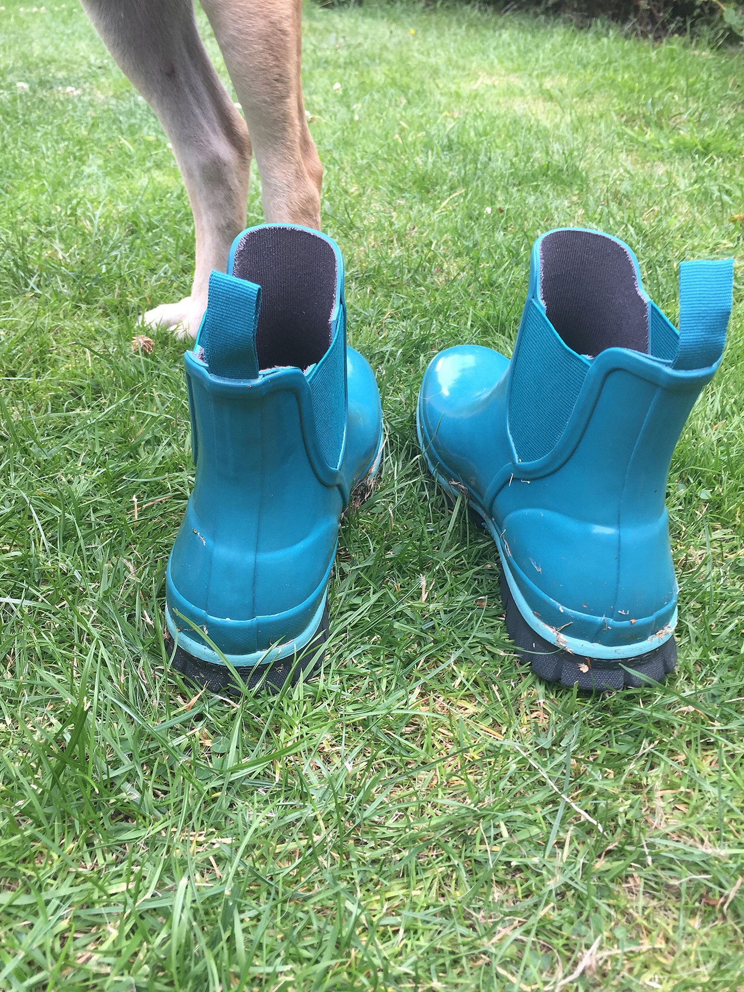 Splashing About With The Dog In The Amanda Wellies by BOGS