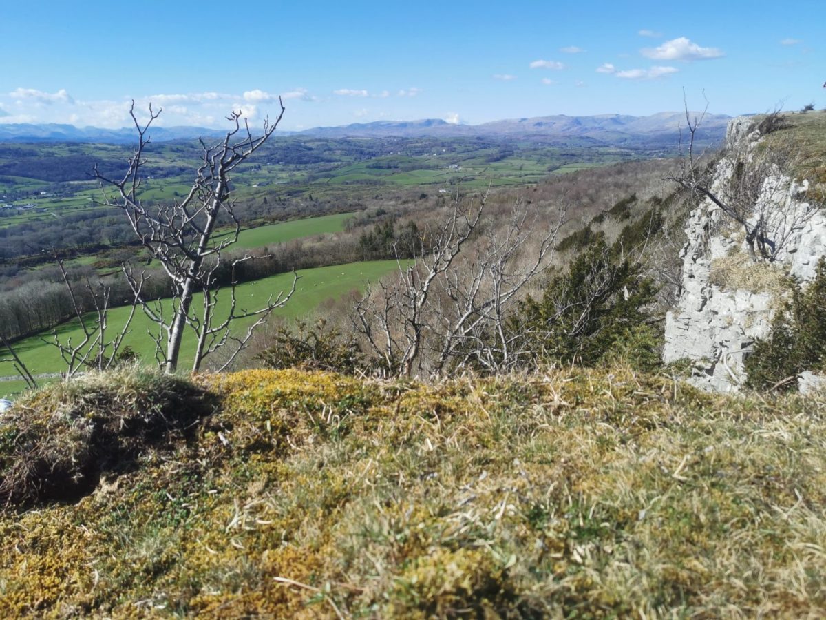 GLAMPING | Rooster Shepherd Hut, Underbarrow, Cumbria